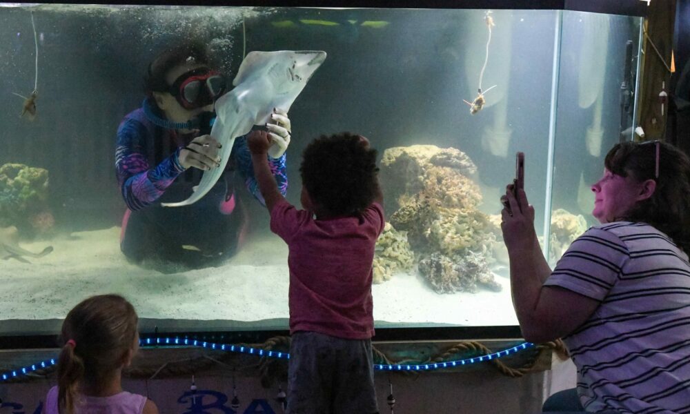 Rising Stars: Meet Brenda Ramer - Voyage South Carolina Magazine