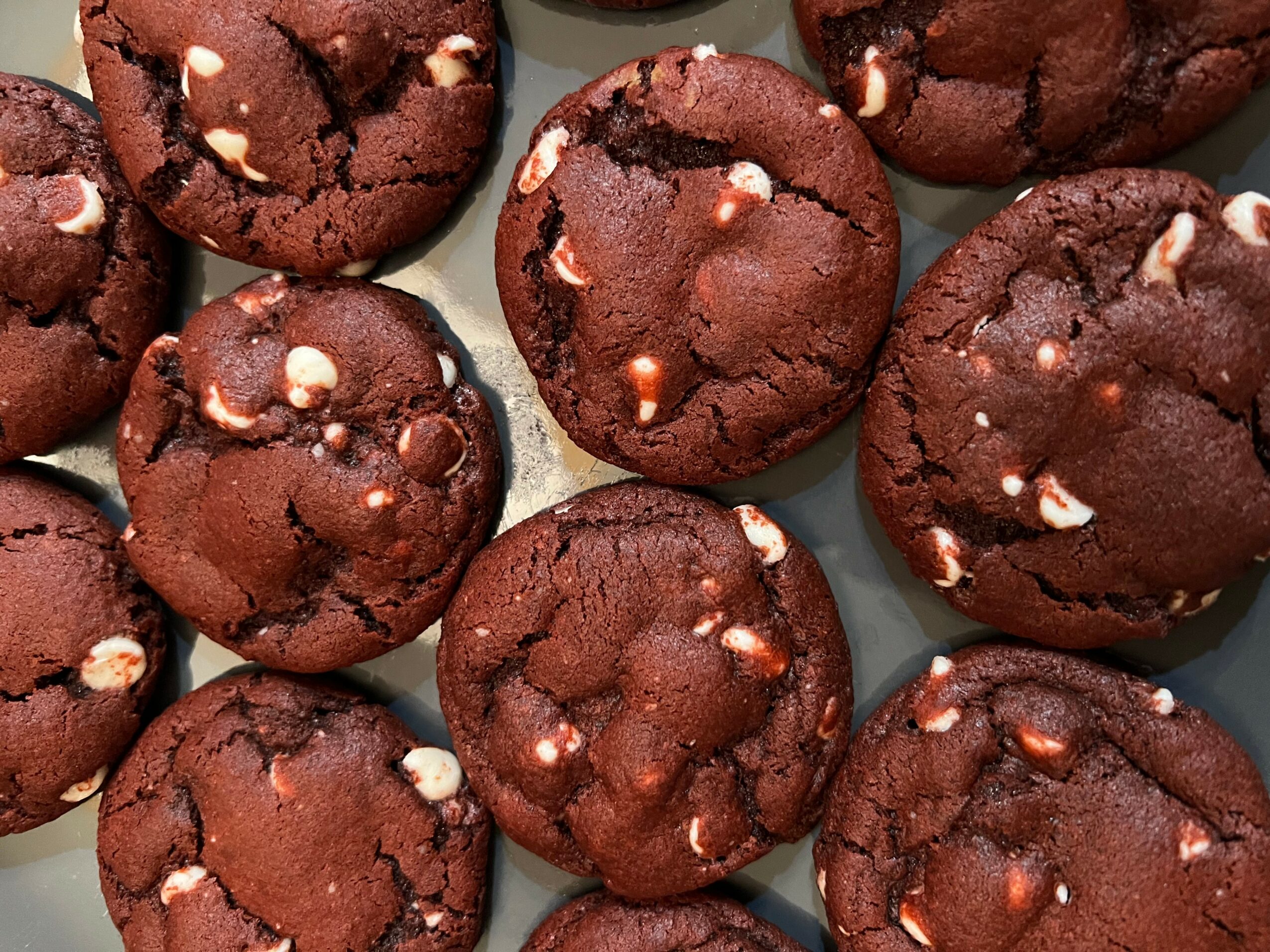 Rising Stars: Meet Angel Rauls - Voyage South Carolina Magazine