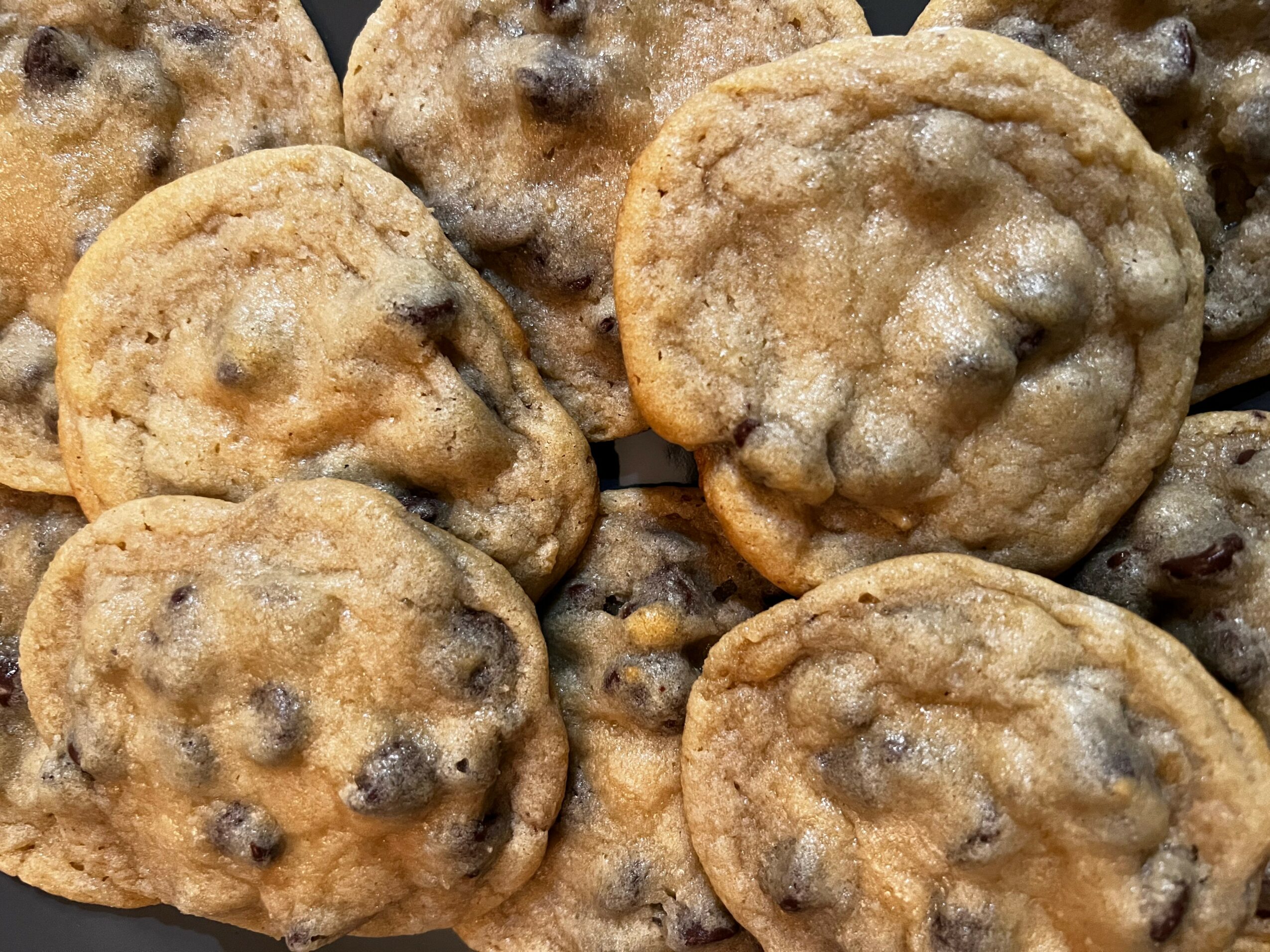 Rising Stars: Meet Angel Rauls - Voyage South Carolina Magazine