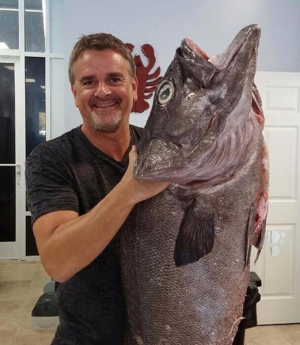 Meet Jim Seidel of Carolina Meat & Fish - Voyage South Carolina Magazine