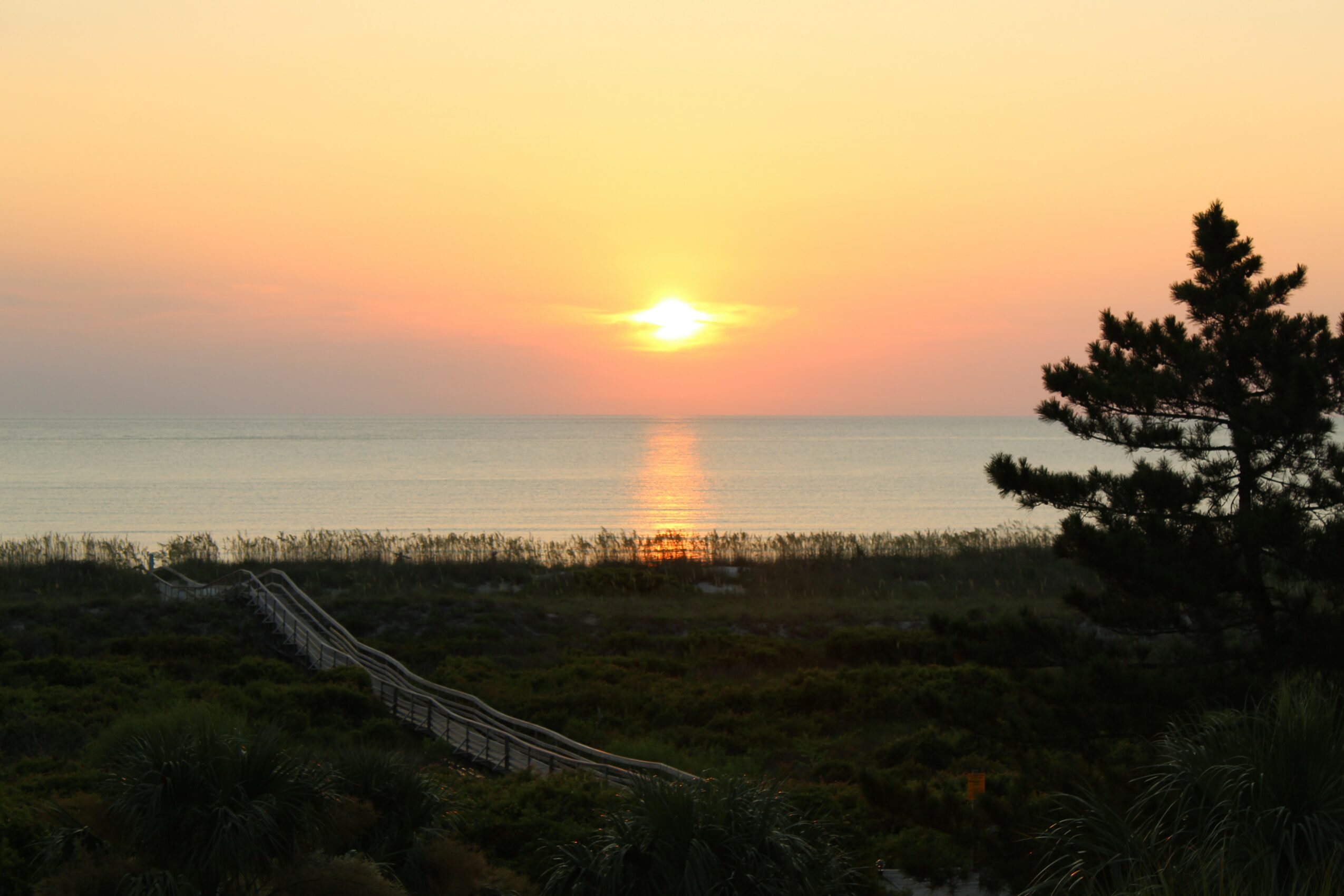 Meet Bernard Johnson - Voyage South Carolina Magazine