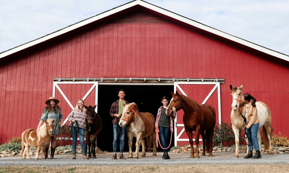 Hidden Gems: Meet Meg Vanderbilt of Bit of Hope Ranch - Voyage South ...