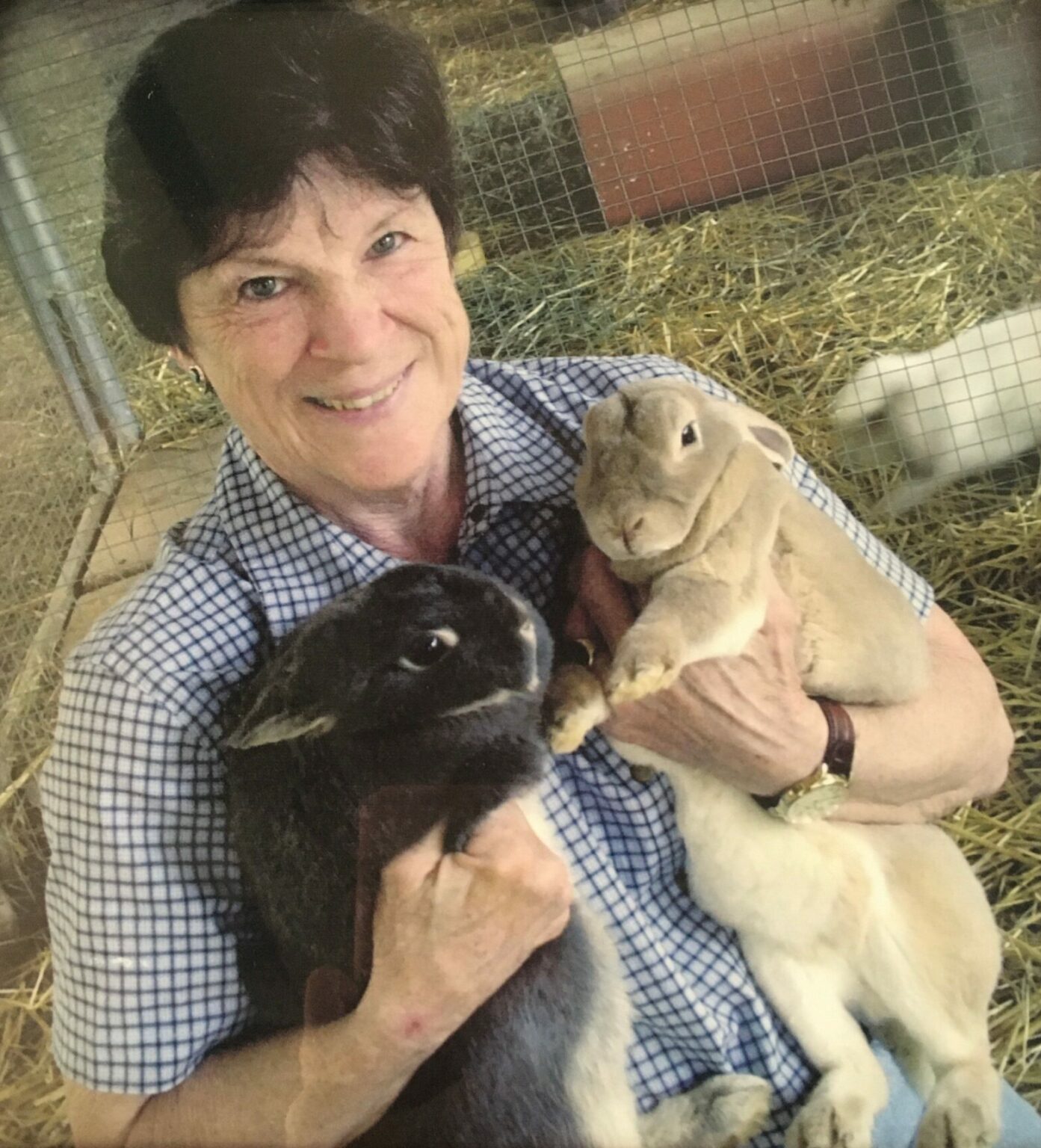 Check Out Caroline Gilbert’s Story - Voyage South Carolina Magazine