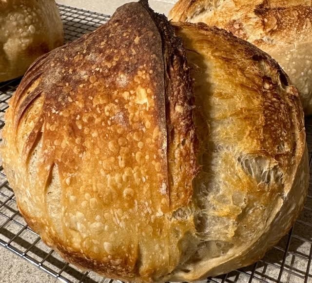 Life & Work with Michelle Whittall of Summerville - Voyage South ...