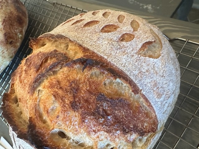 Life & Work with Michelle Whittall of Summerville - Voyage South ...