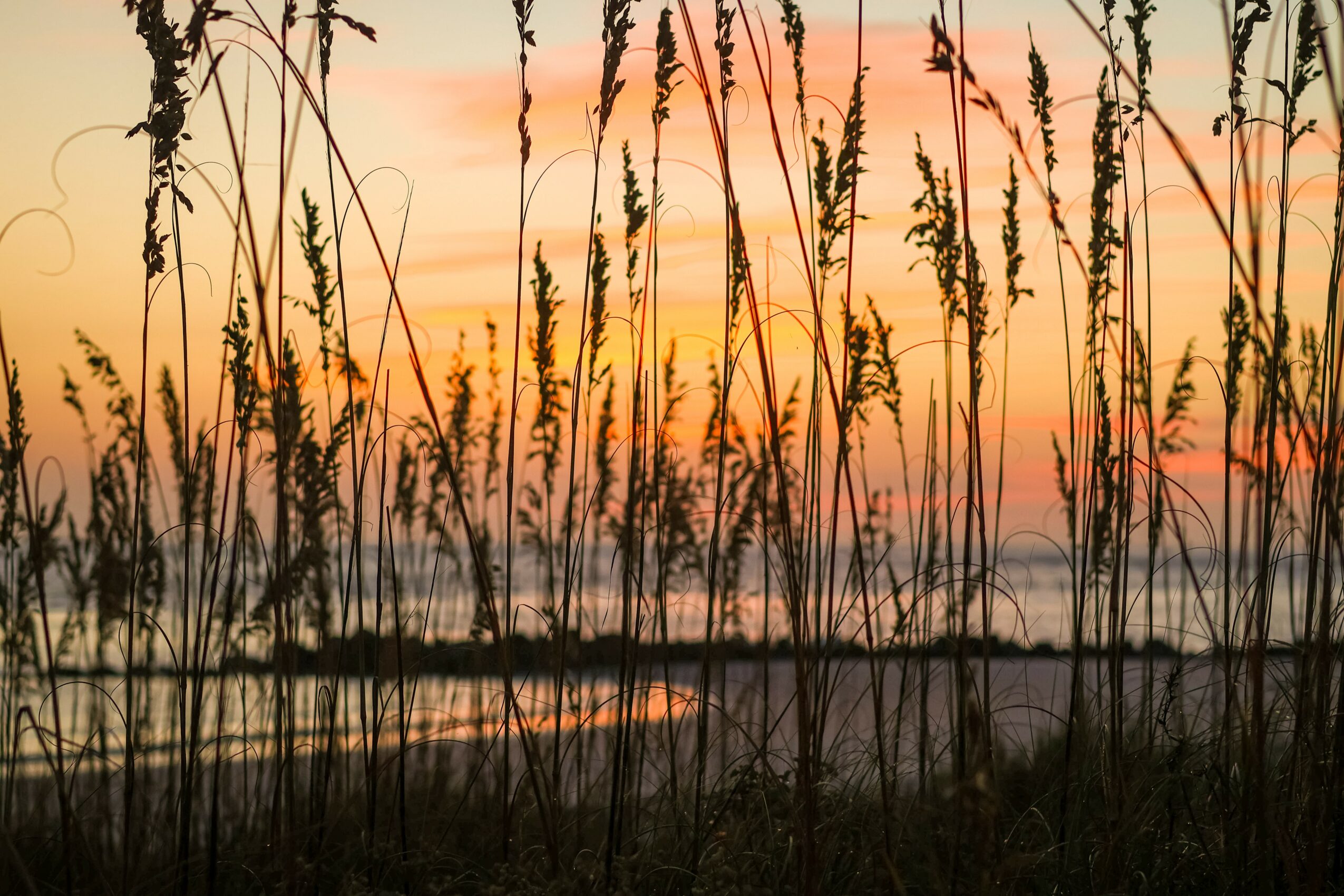 Meet Taylor Privette of Fernandina Beach, Florida - Voyage South ...