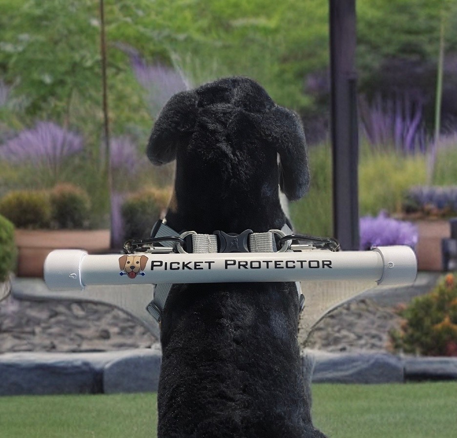 Community Highlights: Meet Karen Hopper of Picket Protector - Voyage ...