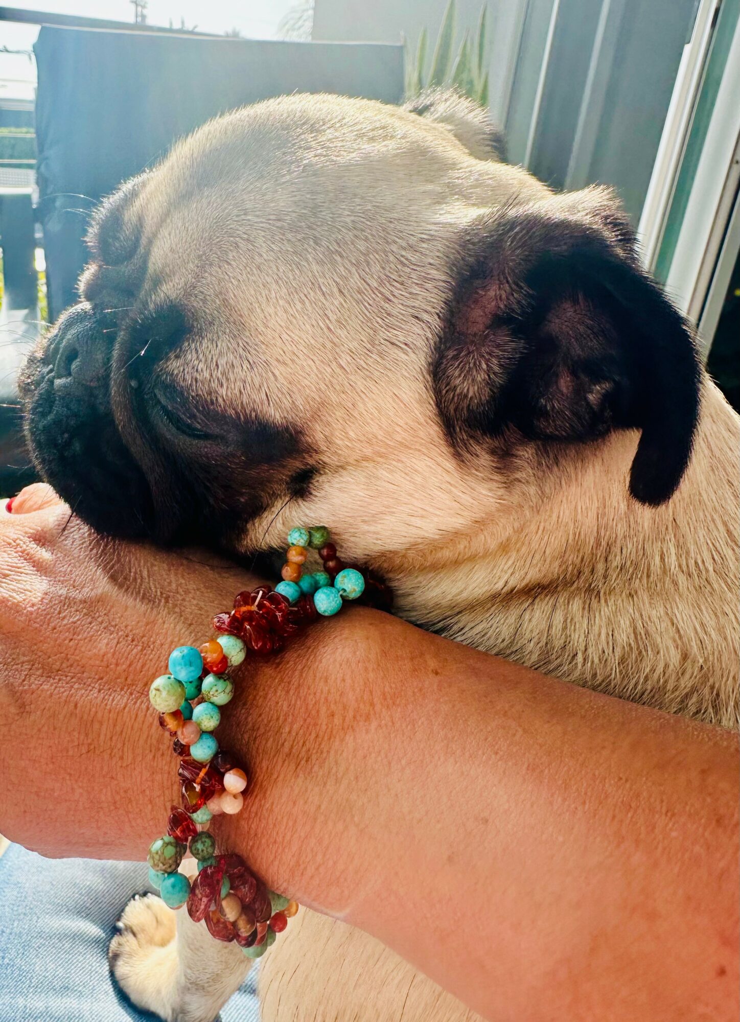 Check Out Mimi Loucks’s Story - Voyage South Carolina Magazine