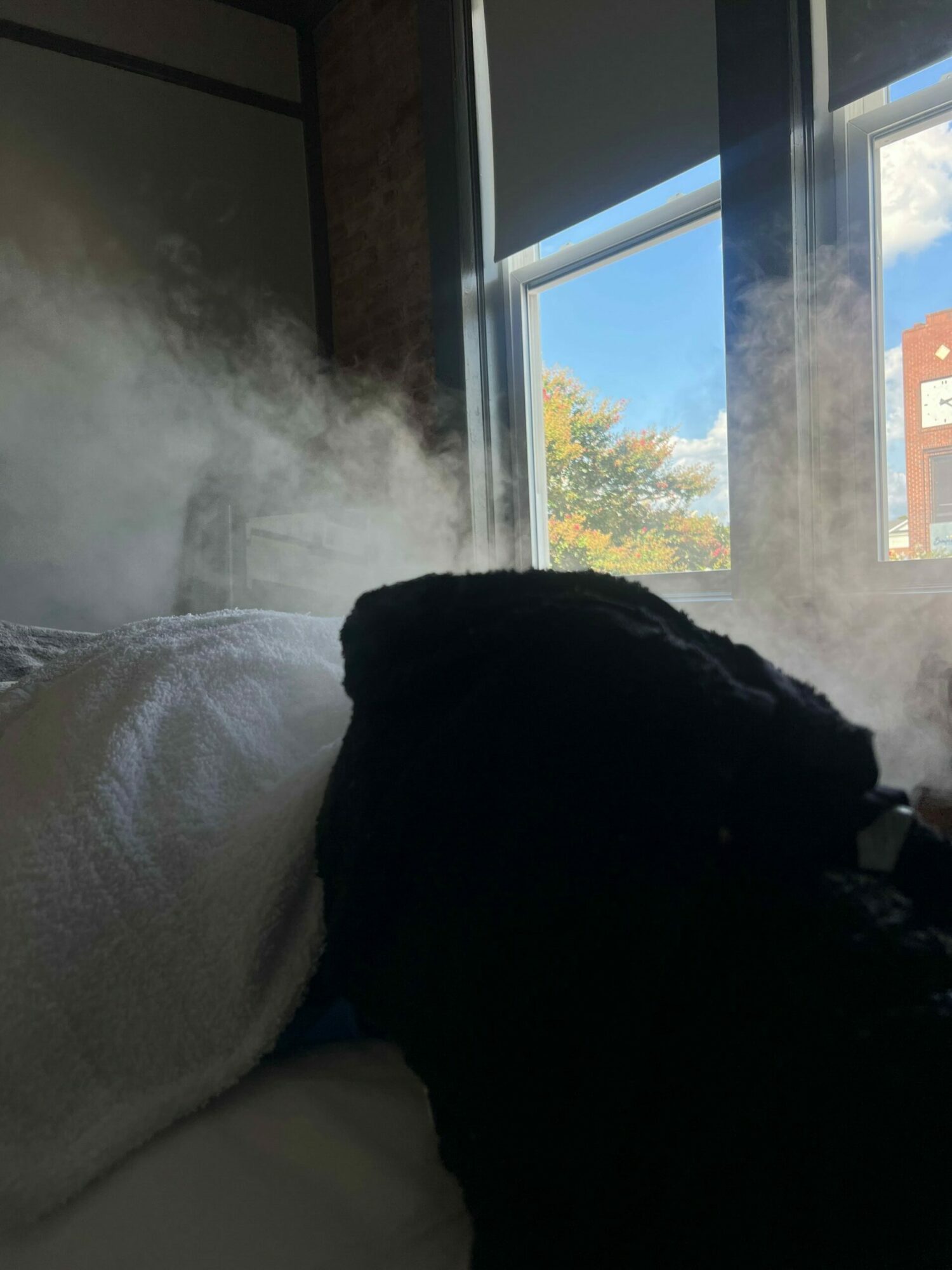 Life & Work with Kennedy Sherman of Greenville - Voyage South Carolina ...