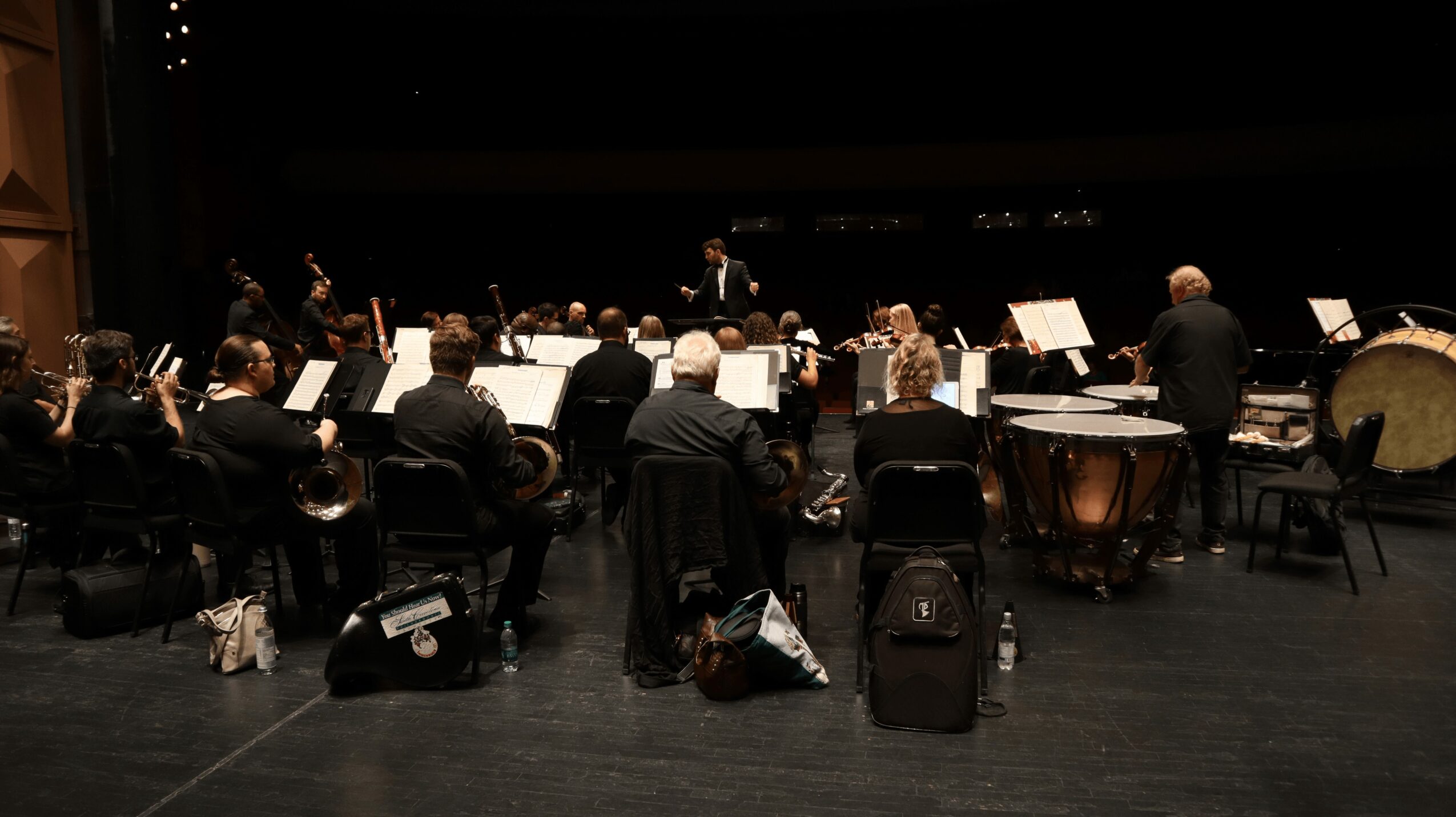 Hidden Gems: Meet Donald Portnoy of Conductor's Institute of South ...