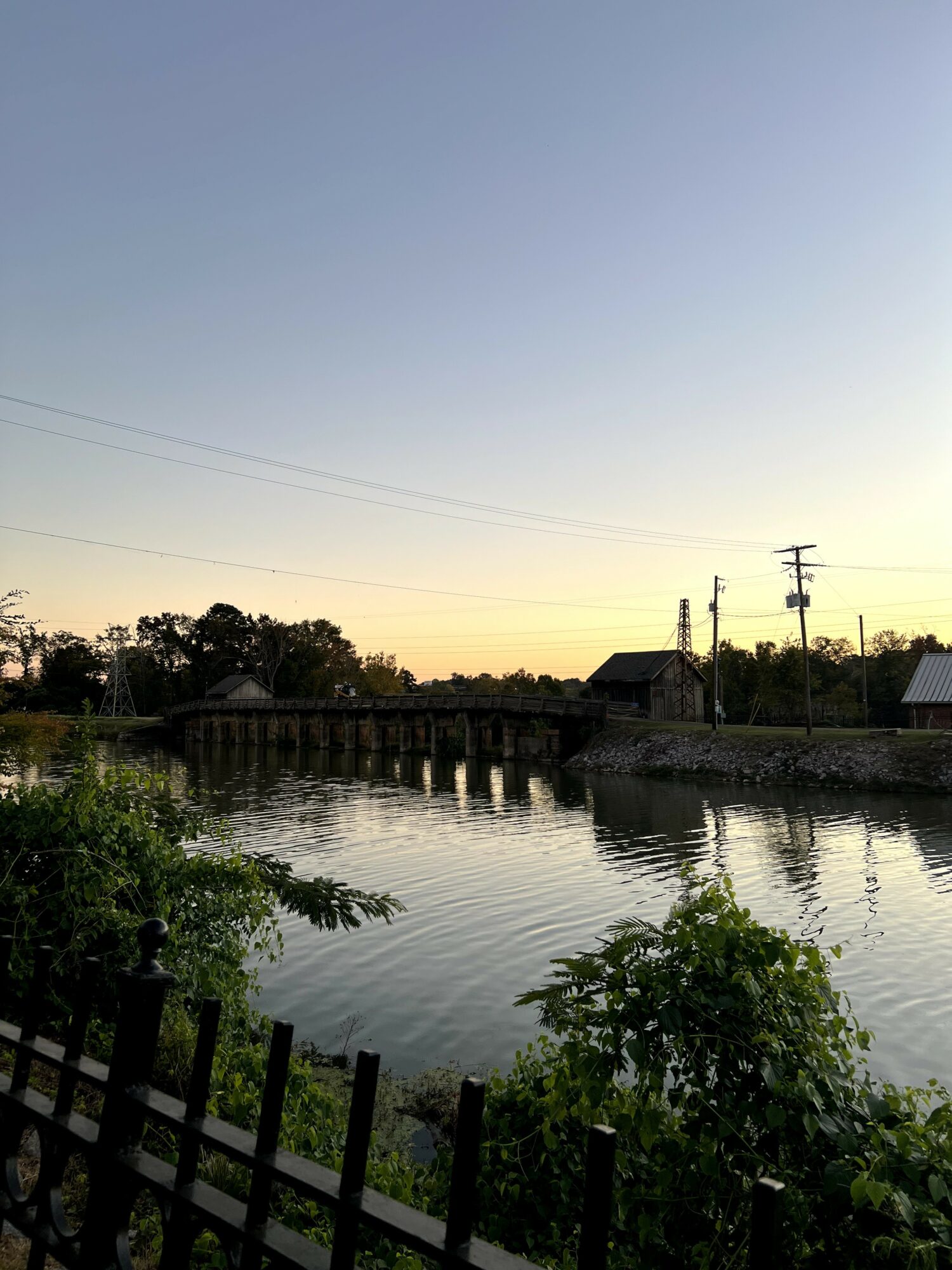 Daily Inspiration: Meet Dorothy Bird - Voyage South Carolina Magazine
