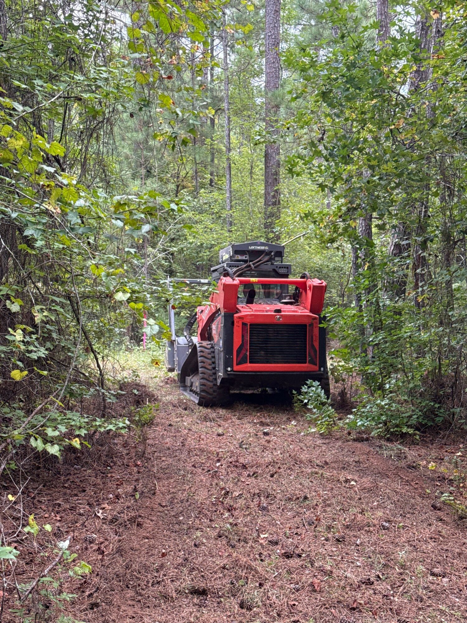 Meet Ed Zehme of Stump Grunts - Voyage South Carolina Magazine