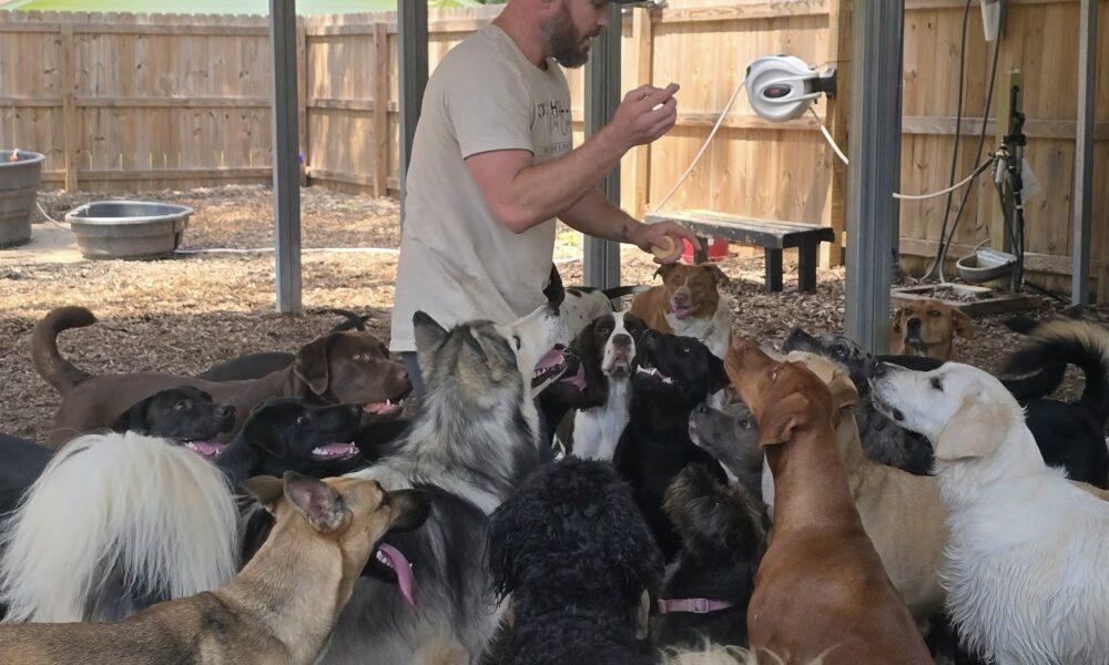 Hidden Gems: Meet Casey & Trent Madden of Rock Hill Pet Care – Voyage ...