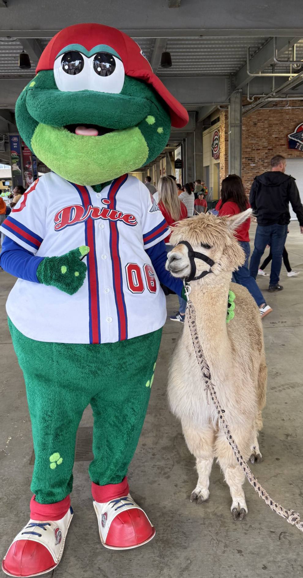 Hidden Gems: Meet Stacy Means of Herbert and Friends Mobile Petting Zoo ...