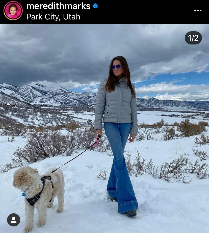 Life & Work with Anne Janousek of Aiken - Voyage South Carolina Magazine