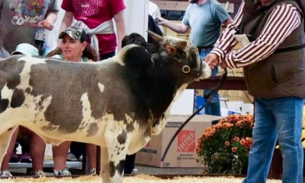 Meet Bianca Greer of Twin Farms Mobile Petting Zoo - Voyage South ...