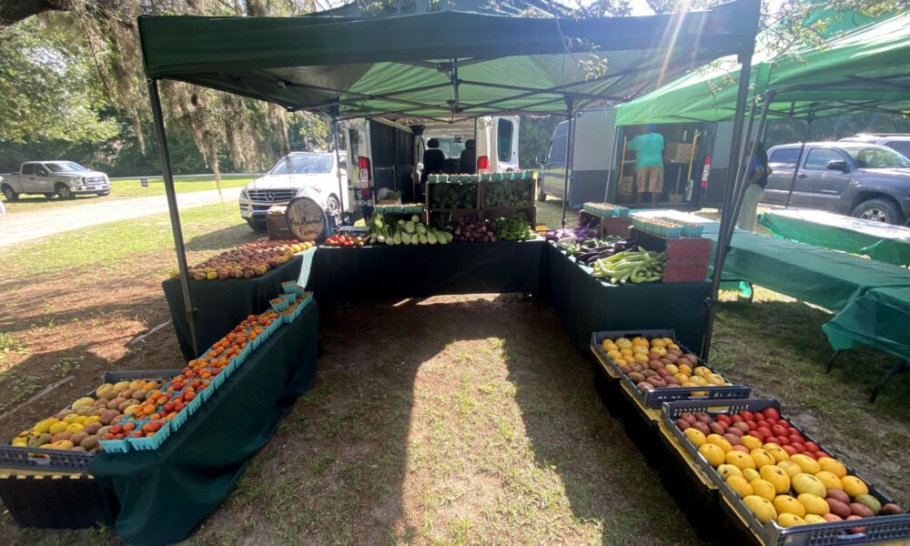 Exploring Life & Business with Ashley Loponte of Kindlewood Farms ...